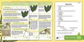 KS2 Easter CfE Differentiated Reading Comprehension Activities