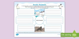 FREE! - Arctic Animal Display Borders (teacher made)