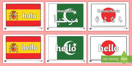 Hello in Multiple Languages Flag Posters (teacher made)