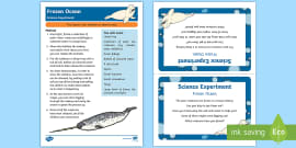 KS1 Layers of the Ocean Differentiated Reading Comprehension Activity