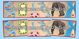 Biology Display Banner (Teacher-Made) - Twinkl