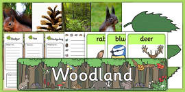 Woodland Word Cards