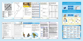FREE! - Year 2 Week 1 NZ Home Learning Pack (Teacher-Made)