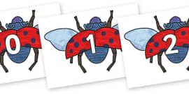 Numbers 0-20 on Ladybirds (teacher made) - Twinkl