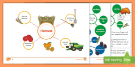 Spring Differentiated Concept Maps (teacher made) - Twinkl