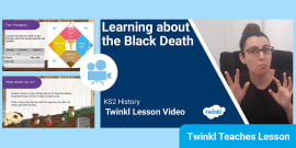 The Black Death Display Pack (teacher made)