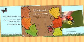 Minibeasts and their Habitats Worksheet - minibeast habitats worksheets