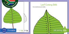 Spiral Snake Cutting Skills Activity (teacher made) - Twinkl