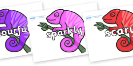 What is a chameleon? | Twinkl Teaching Wiki - Twinkl