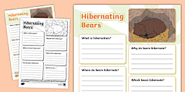 Brown Bear Fact File Template