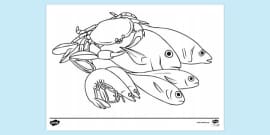 FREE! - Seafood Platter Colouring Sheet (teacher made)