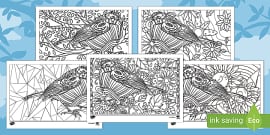 Blue Tit Mindfulness Colouring Activity (teacher made)