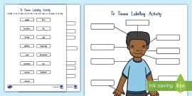 Te Reo Māori: Interactive Te Tinana Labelling Activity