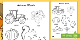 FREE! - Simple Autumn Colouring Page - Primary School - Twinkl