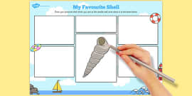 Draw a Shell Art Activity,beach art,shell,seashells - Twinkl