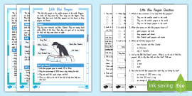 Problem Reading Comprehension Activity (teacher made)