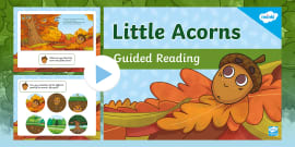 Little Acorns Story PowerPoint (teacher made) - Twinkl