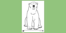 Polar Region Words Colouring Sheet (teacher made) - Twinkl