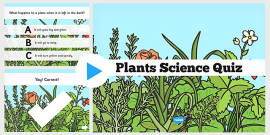 Plant Growth Prediction Worksheet - plants, living things, plant