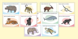 All About Endangered Species PowerPoint - Twinkl - KS1