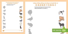 *Chinese version Farm Animals Worksheet* (teacher made)