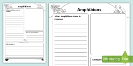 Career Fact File Template (teacher made) - Twinkl