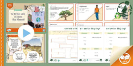 Sustainability Curriculum Framework | Twinkl Resources