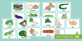 Mga Lugar Sa Pamayanan (Flashcards) | Preschool | Twinkl