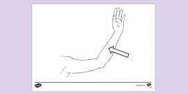 FREE! - Biting Arm Colouring Sheet | Colouring Sheets