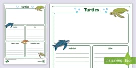 KS1 Sea Turtle Fact File (Teacher-Made) - Twinkl