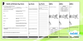 KS2 World War 2 Homework - History - Primary Resources