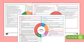 The Rainforest CfE First Level Topic Assessment