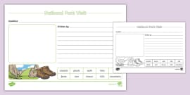 Life Cycle of Fish Fact File Template (teacher made)