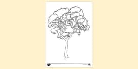 Gum Leaf Template | Primary Resources | Twinkl - Twinkl
