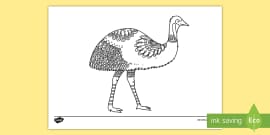 Emu Life Cycle Worksheet / Worksheets (teacher made)