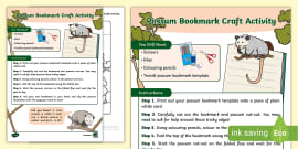 What Is A Possum - Twinkl Teaching Wiki - Twinkl