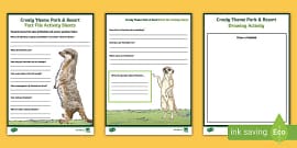 Meerkats Fact File Template (teacher made) - Twinkl