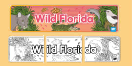 Florida Facts for Kids - Twinkl Teaching Wiki - Twinkl