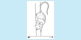 Push Pull Colouring | Colouring Sheets (Teacher-Made)