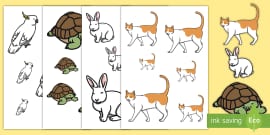 Zoo Animals Size Ordering (teacher made) - Twinkl