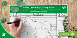 Horse Grooming Guide - Information Sheet - Twinkl Pets