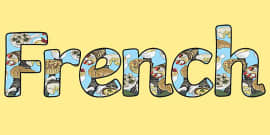 French Display Banner | Languages