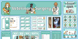 Vet Role Play Set - Veterinary Surgeon - Twinkl
