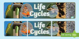 👉 Life Skills Display Banner (Teacher-Made) - Twinkl