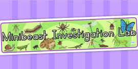 Minibeasts Investigation Lab Role Play Role Play Signs