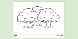 Walnut Tree Colouring Sheet | Tree Colouring Pages | KS1