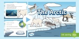 Comparing the Polar Regions KS1 PowerPoint | KS1 Resources