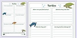 KS1 Sea Turtle Fact File (Teacher-Made) - Twinkl