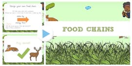 Food Chain PowerPoint - Science Resource - Twinkl