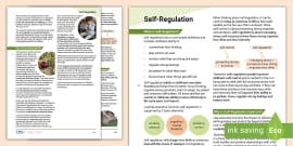 Self Regulation Early Years CPD | Video | Twinkl - Twinkl